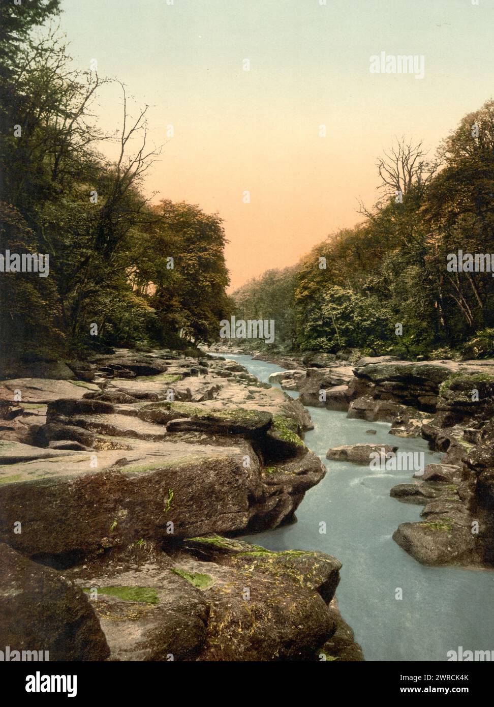 Woods, the Strid, Bolton Abbey, England, Image shows the Strid, a ...