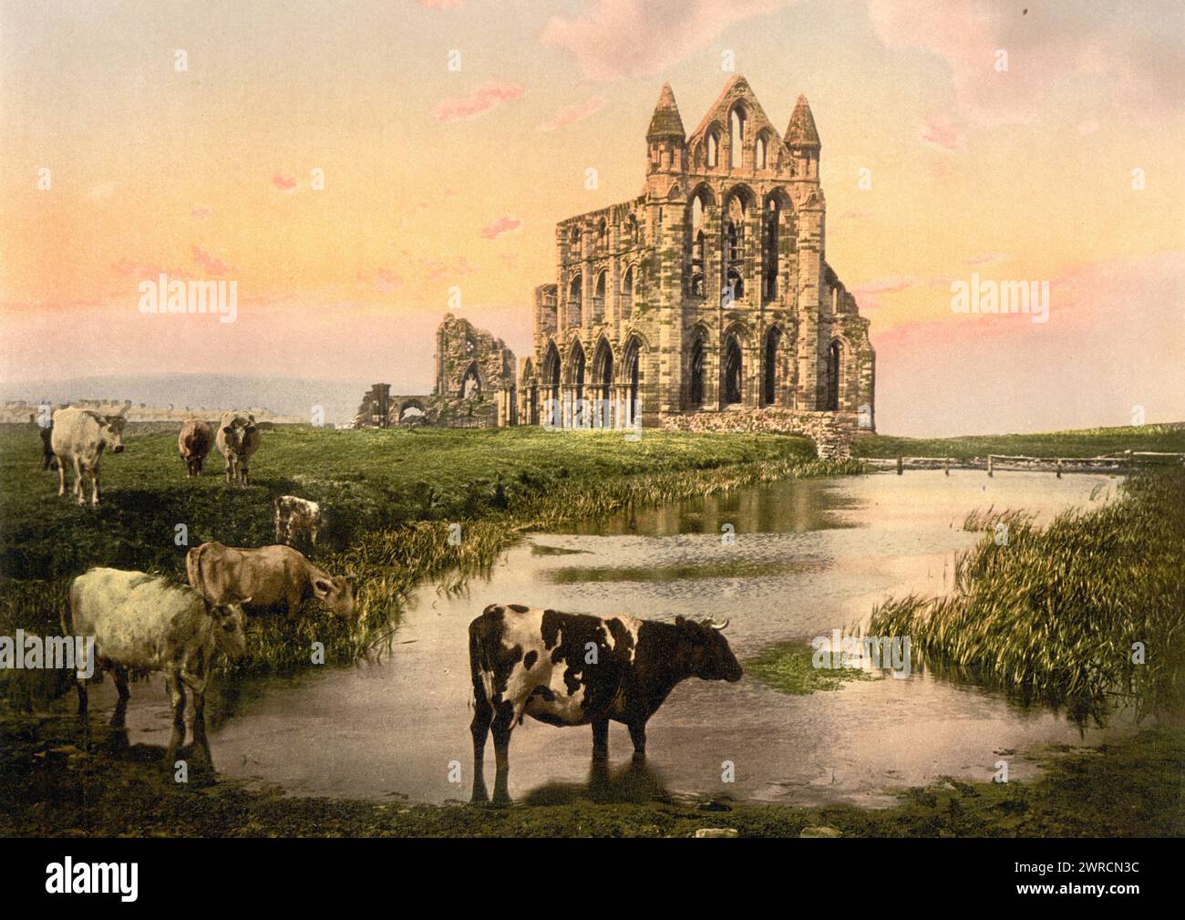 Whitby, the abbey, III., Yorkshire, England, Image shows the ruins of ...