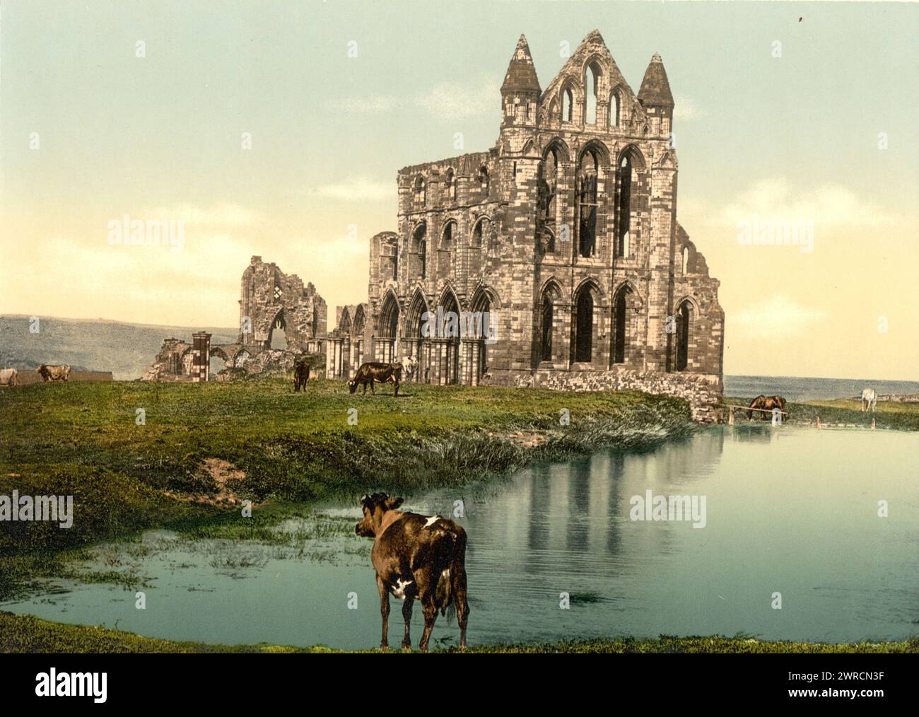 Whitby, the abbey, II., Yorkshire, England, Image shows the ruins of ...
