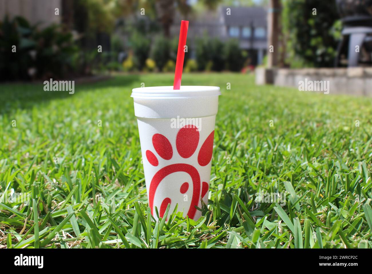 Chick-Fil-A drink cup on grass Stock Photo - Alamy