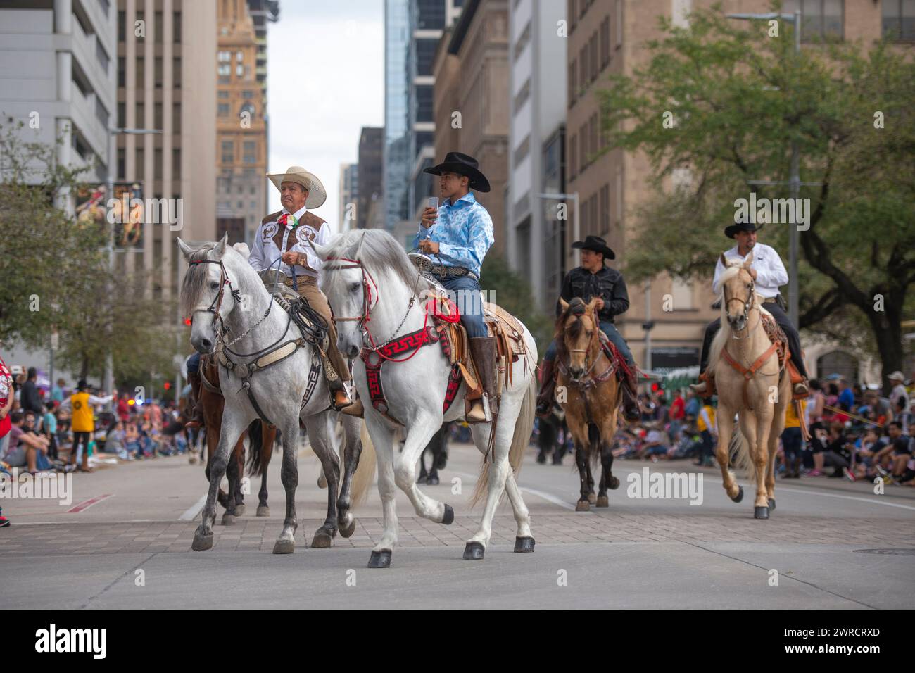 Houston livesstock hi-res stock photography and images - Alamy