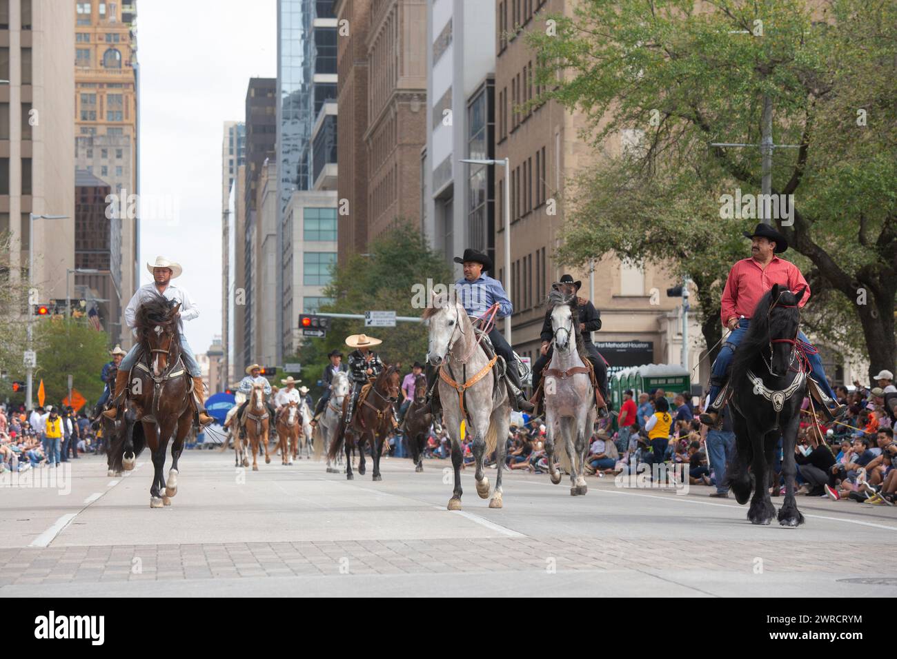 Houston livesstock hi-res stock photography and images - Alamy