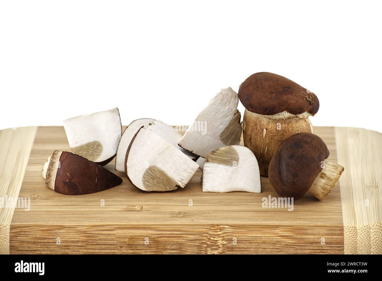 Pine bolete, Boletus pinophilus or pinewood king bolete isolated on ...