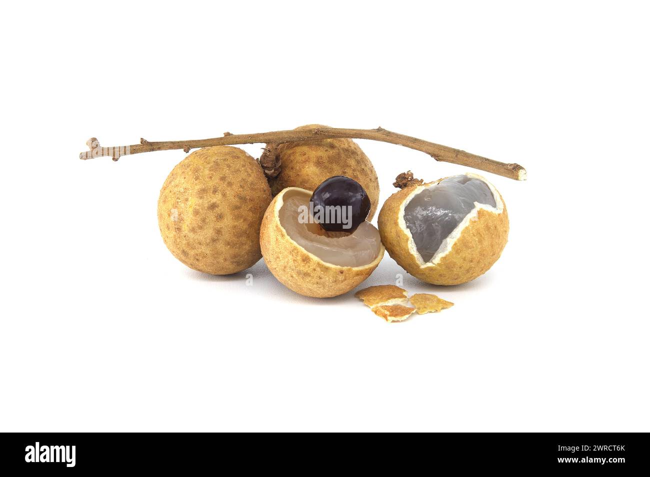 Longan fruits on branch, one of the fruits is cut open, displaying its ...