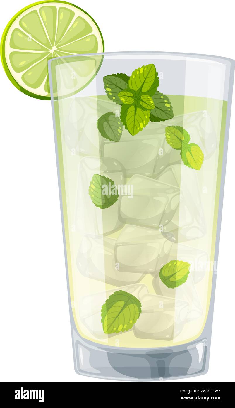 Vector graphic of a mint mojito with ice Stock Vector Image & Art - Alamy