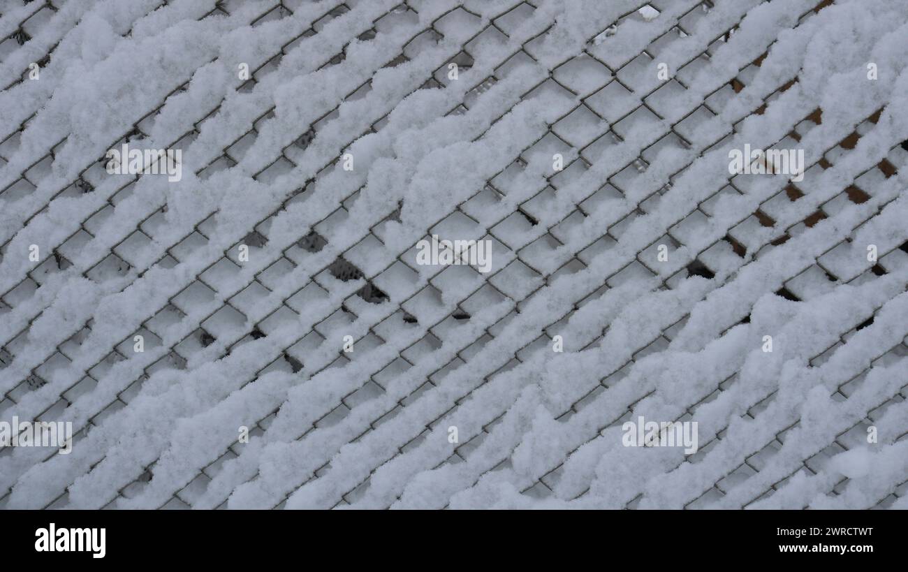 Snow sticking on a wire mesh fence, a fragment of fencing from a grate ...