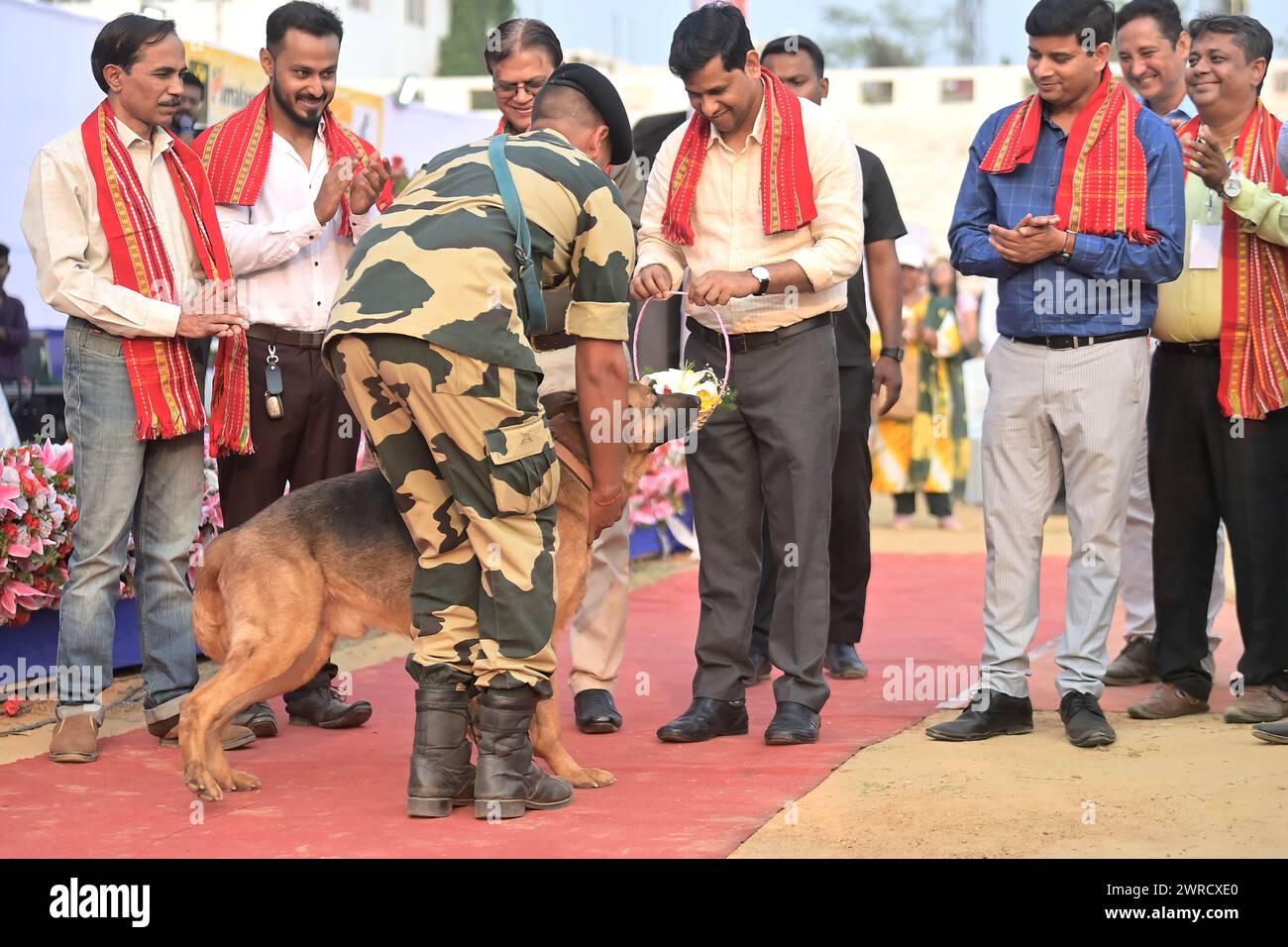 Animal resource development of tripura hi-res stock photography and ...