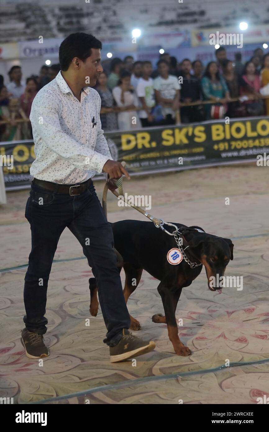 Animal resource development of tripura hi-res stock photography and ...