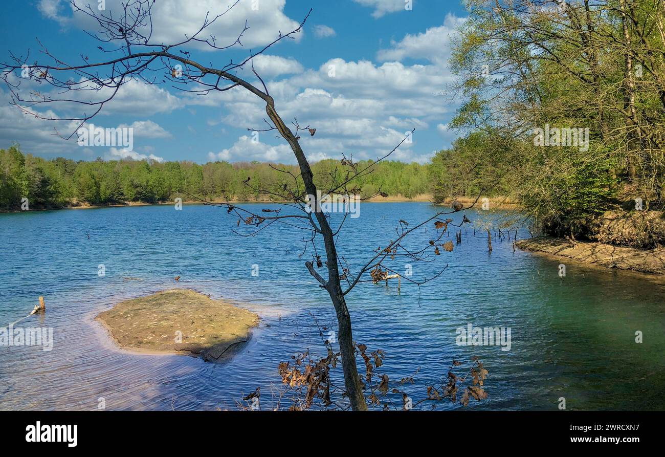 Natural focal element hi-res stock photography and images - Alamy