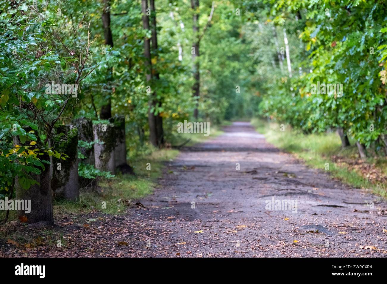 Sheltering canopy hi-res stock photography and images - Alamy