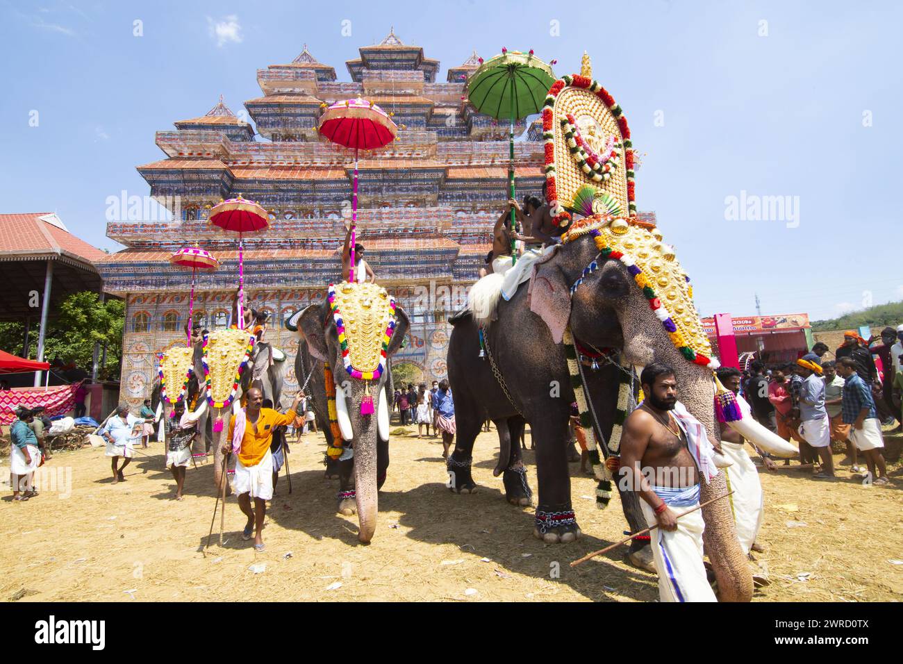 Elephant procession hi-res stock photography and images - Alamy