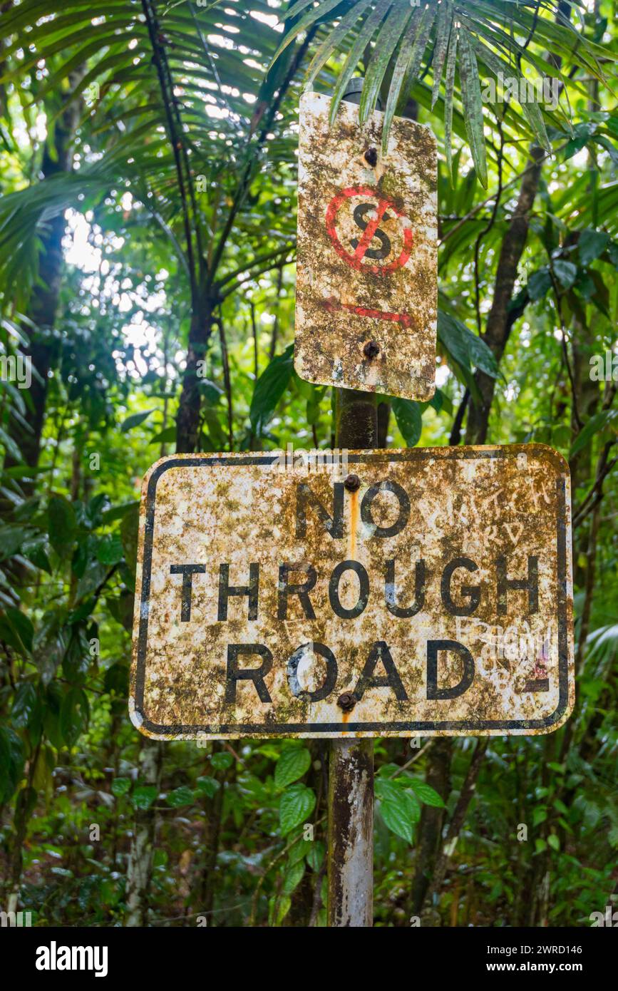 A no stopping sign and no through road sign rusting and covered in ...