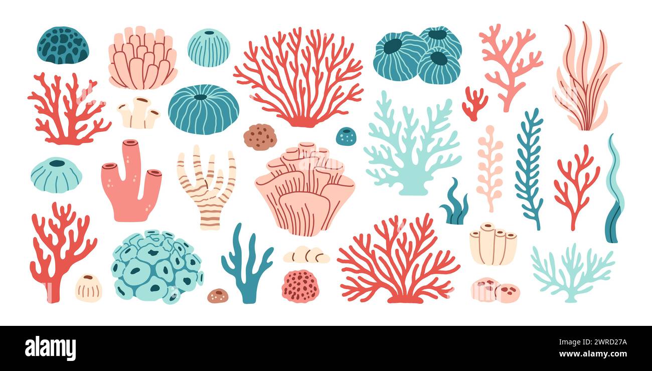 Coral set. Ocean plants, underwater flora, seaweed. Aquatic plant, algae, tropical seabed ...