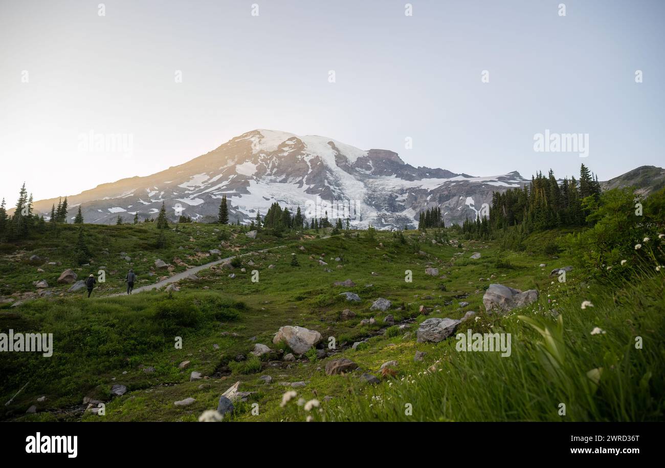 Mount Rainier at sunset. Paradise valley. Mt Rainier National Park ...