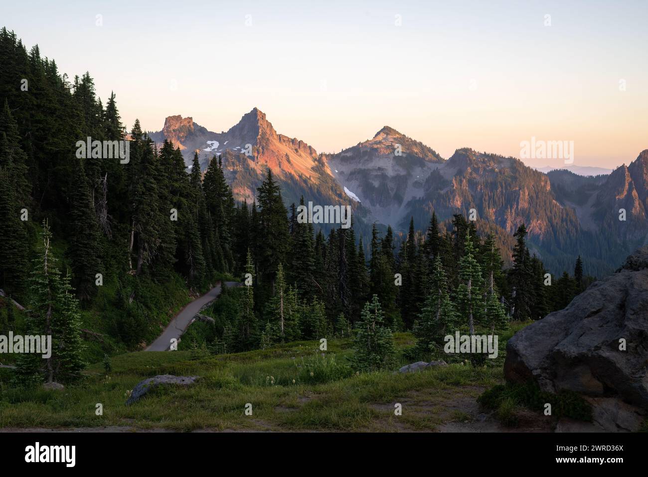 Paradise at sunset. Mount Rainier National Park. Washington State. USA ...