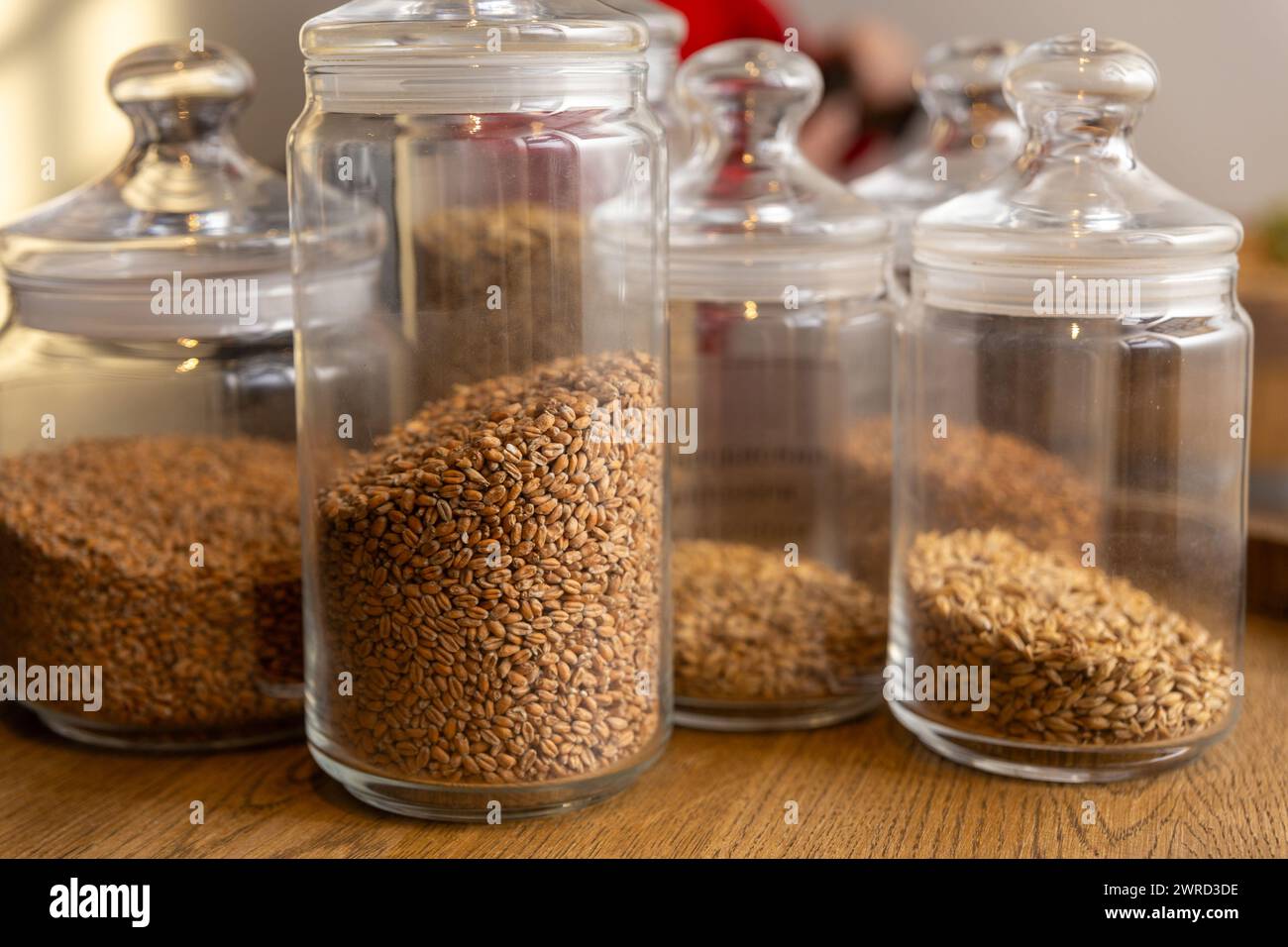 Various types of malting malt in glass pots on a wooden tray ...