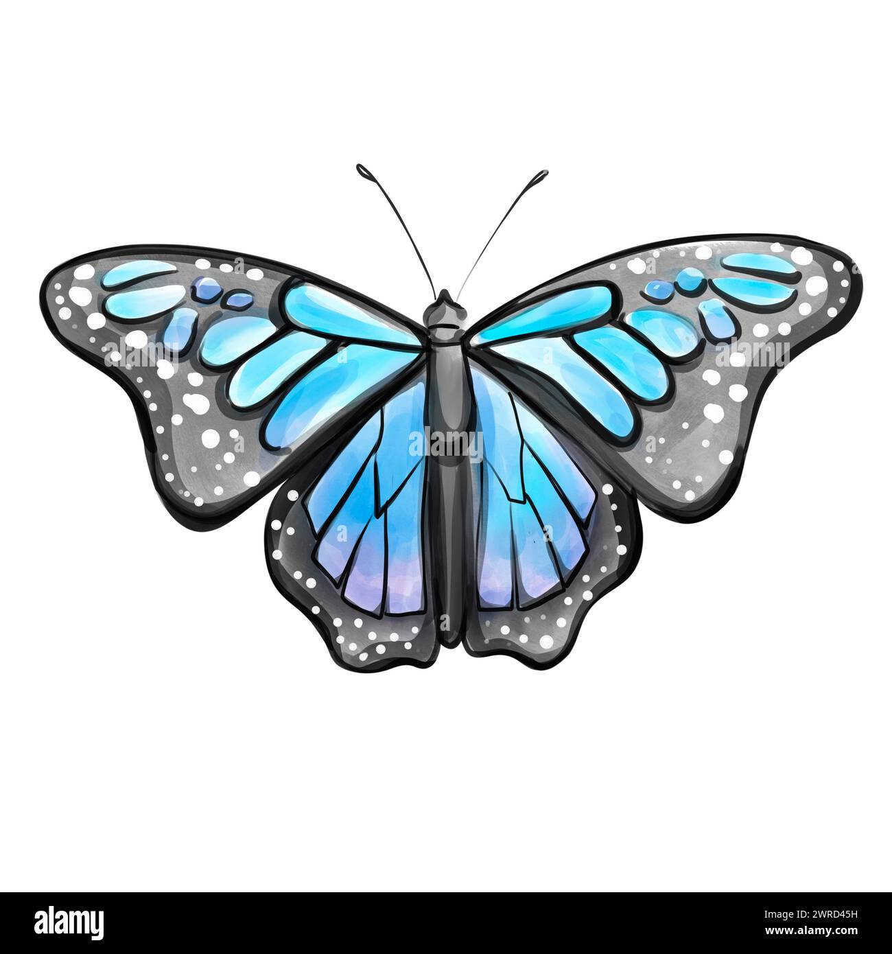 Watercolor blue monarch butterfly. Dream illustration. Isoalated Stock ...