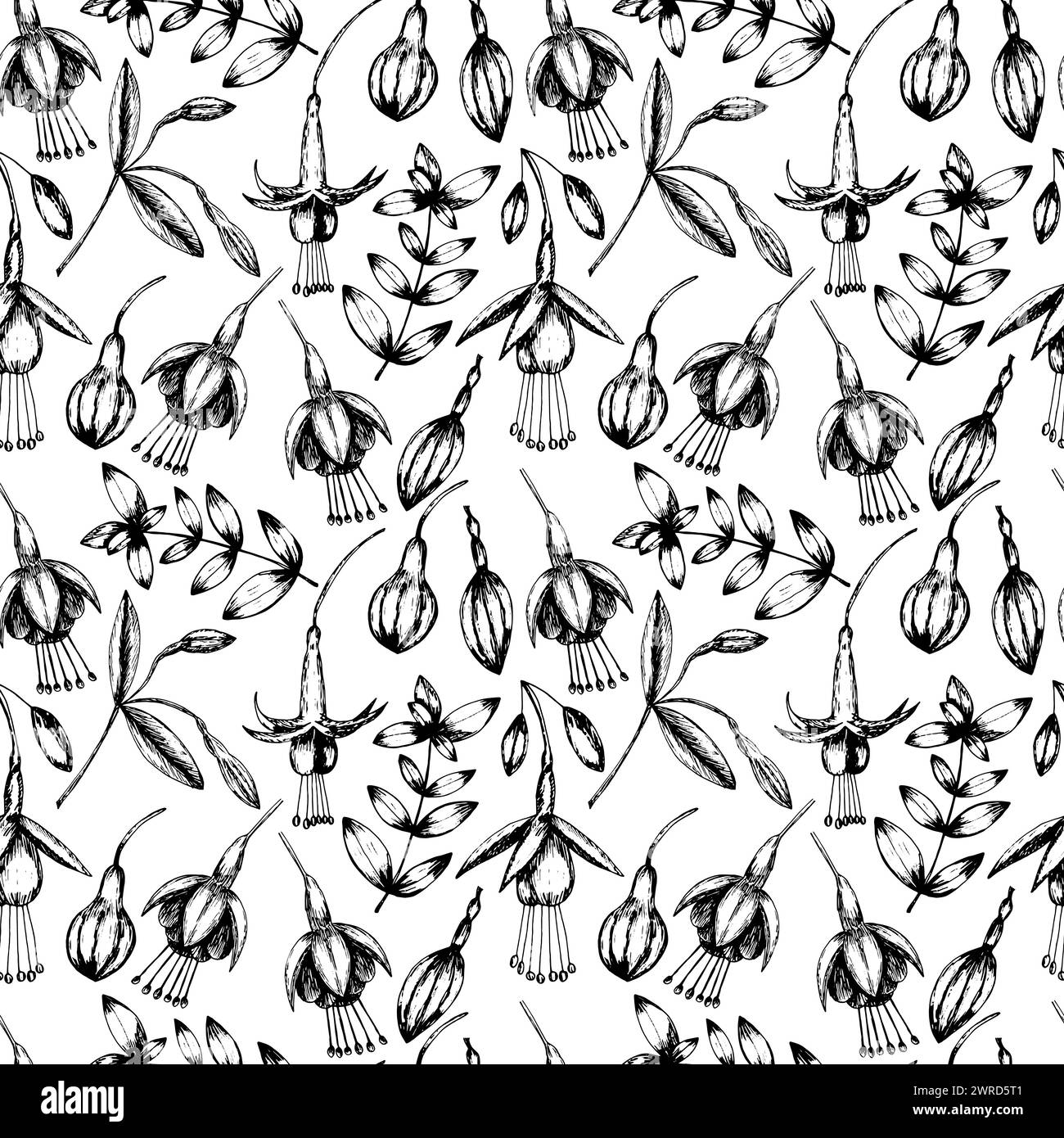 Fuchsia Black and White Stock Photos & Images - Alamy