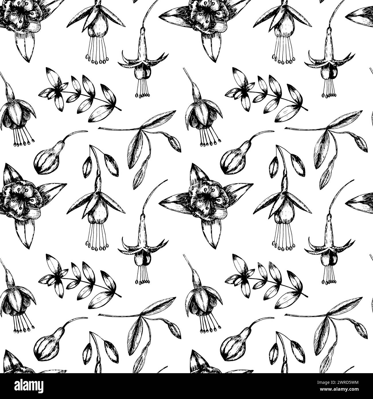 Exotic fuchsia Stock Vector Images - Alamy