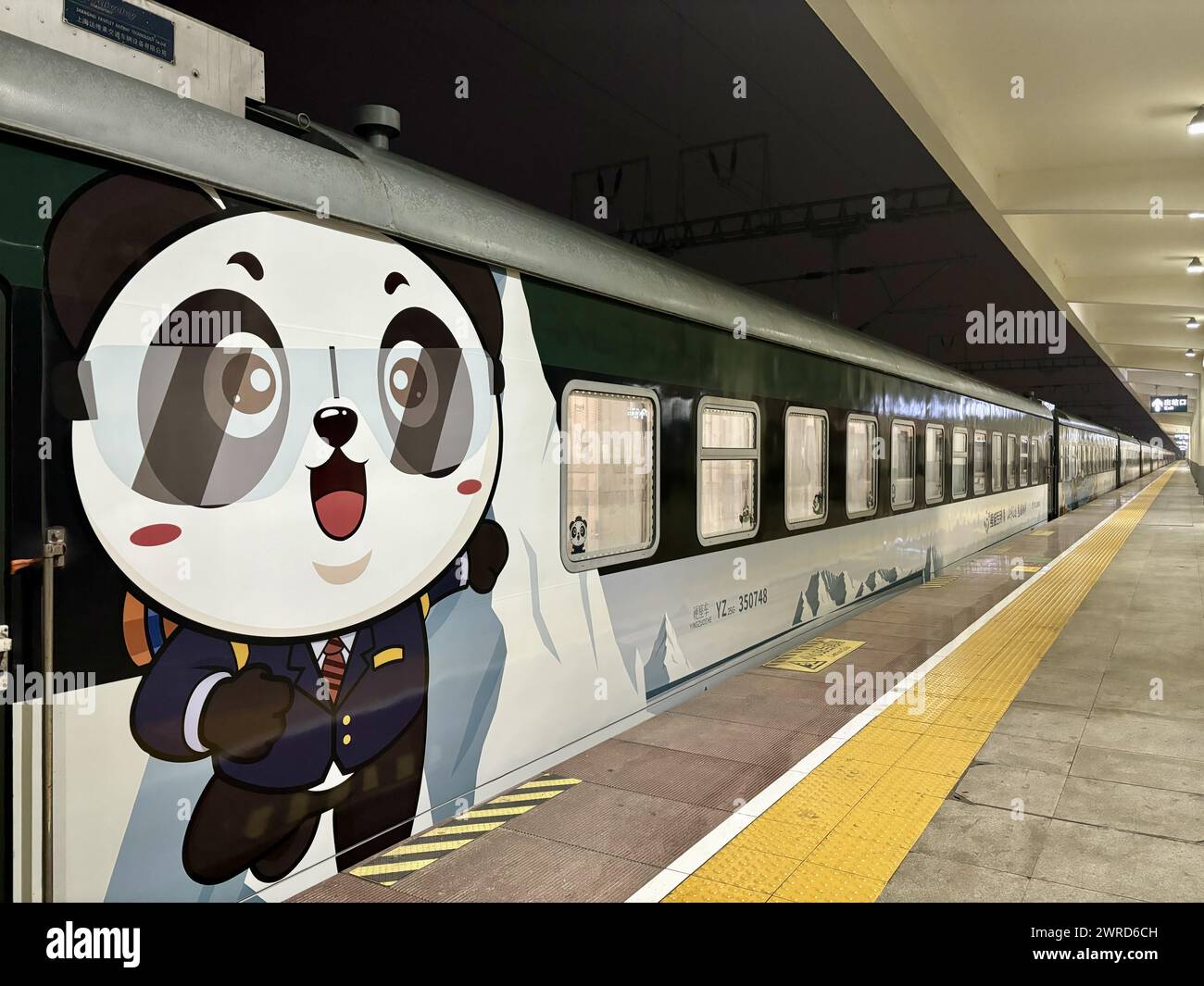 The first inter provincial panda-themed tourist train of this year ...