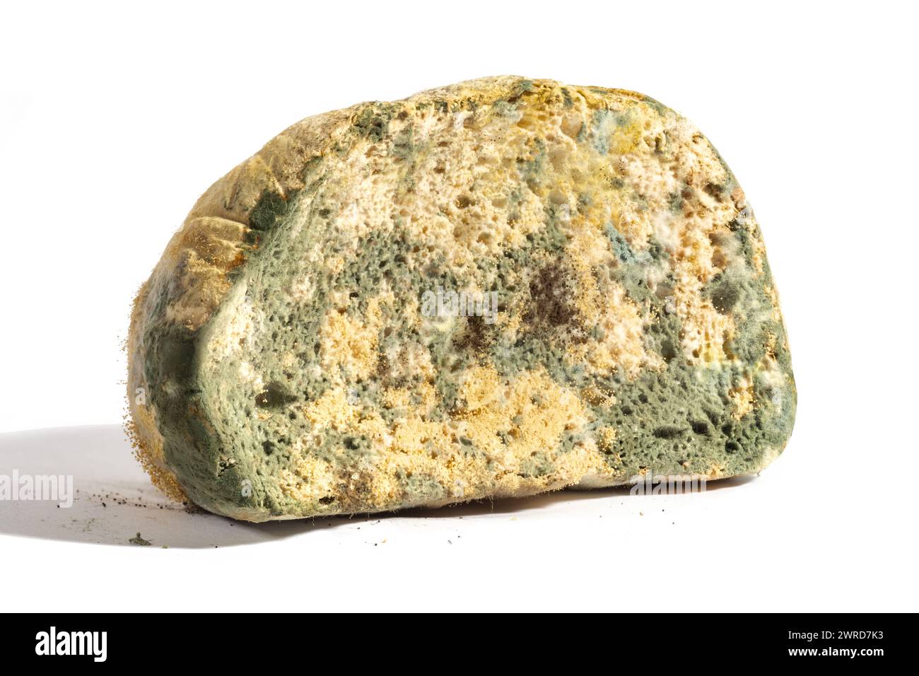 The old mold on the wheat loaf of bread Spoiled food. Mold on food ...