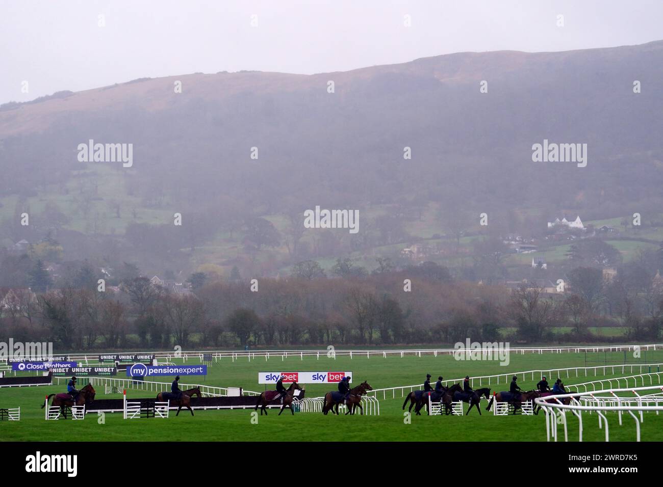 Horses on the gallops ahead of the 2024 Cheltenham Festival at ...