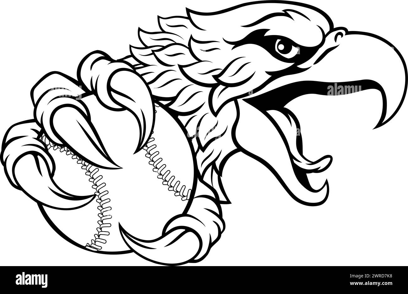 Eagle Hawk Baseball Ball Cartoon Sport Team Mascot Stock Vector Image ...