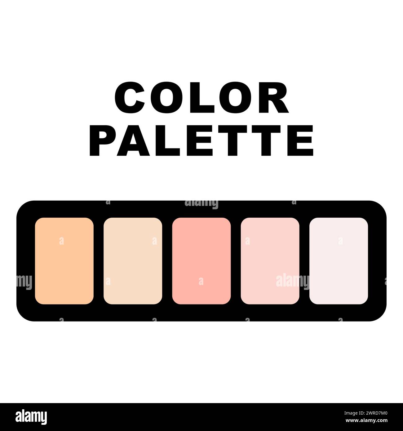 Vector Illustration With Palette Color Matching Palette Fashion Trend Color Guide Palette Rgb
