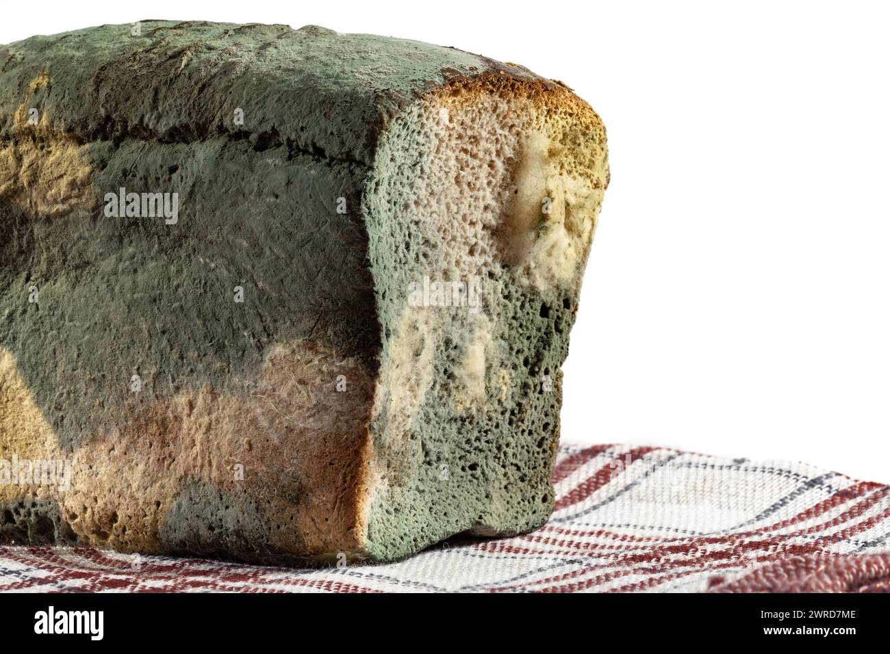 The old mold on the rye bread. Spoiled food. Mold on food on kitchen ...