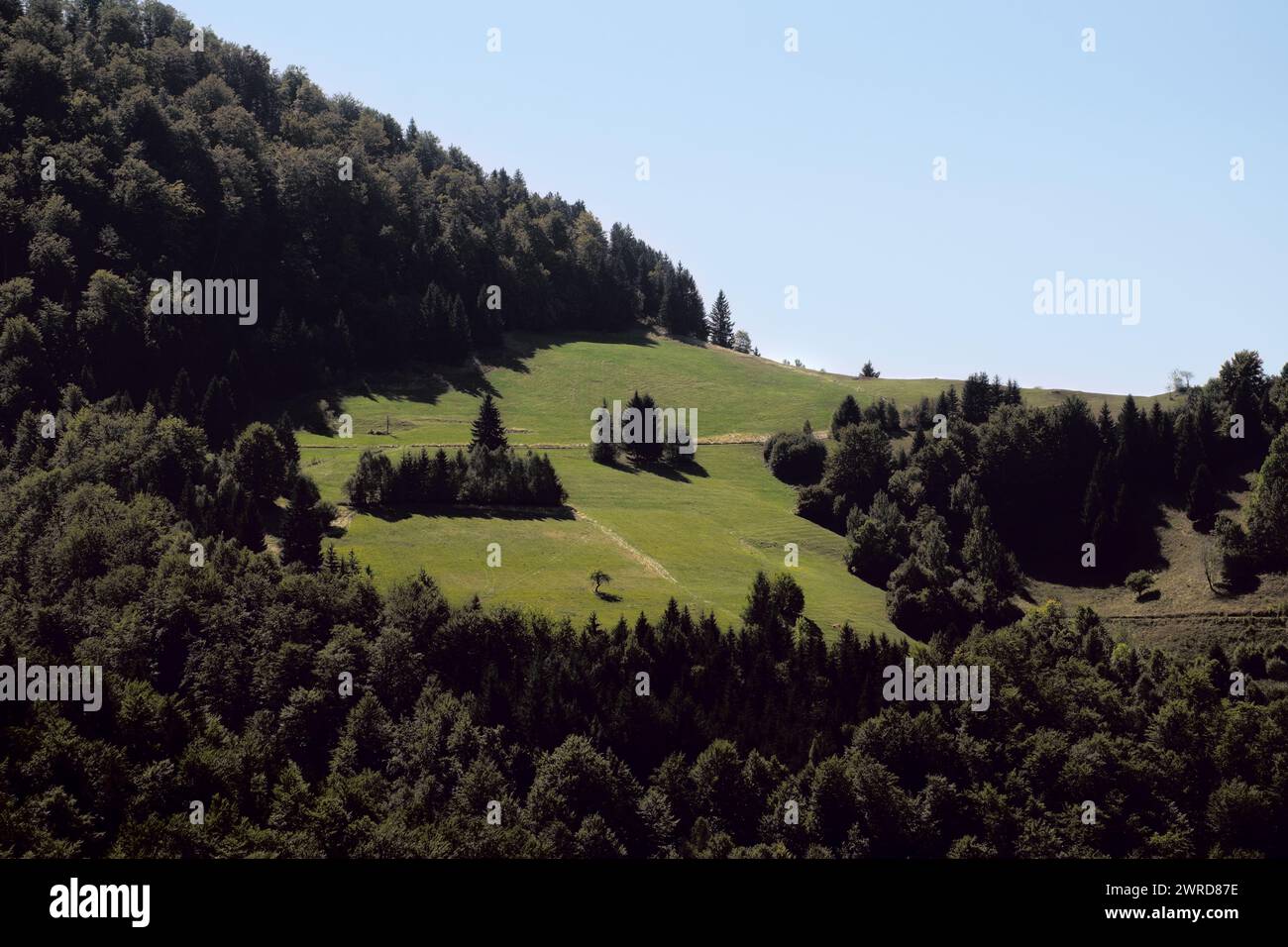 Grass clearing on edge mountain hi-res stock photography and images - Alamy