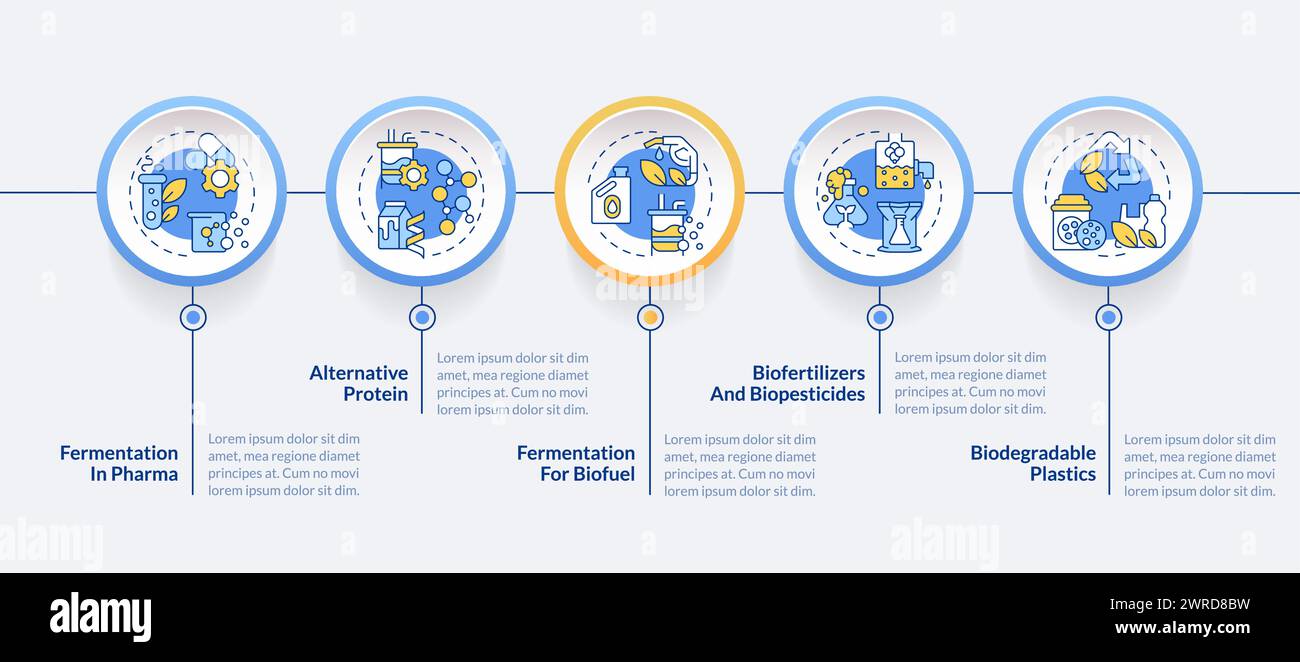 Fermentation agriculture usability circle infographic template Stock ...