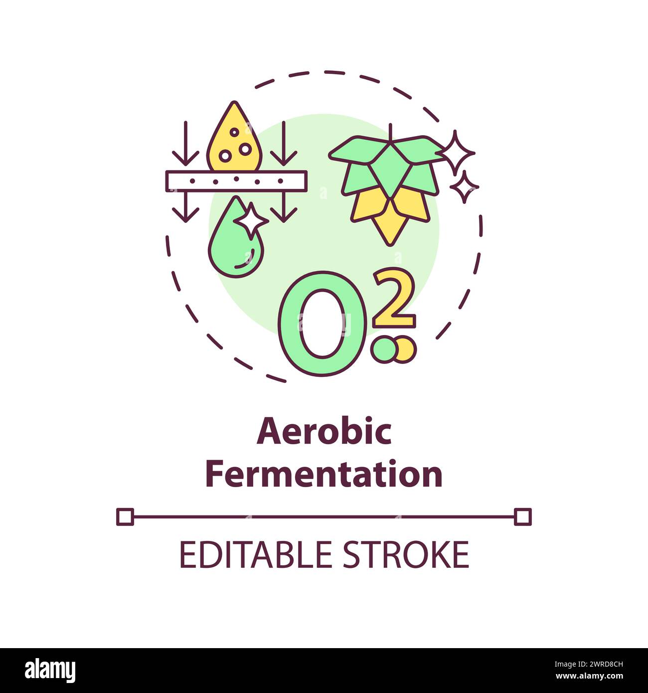 Aerobic fermentation hi-res stock photography and images - Alamy