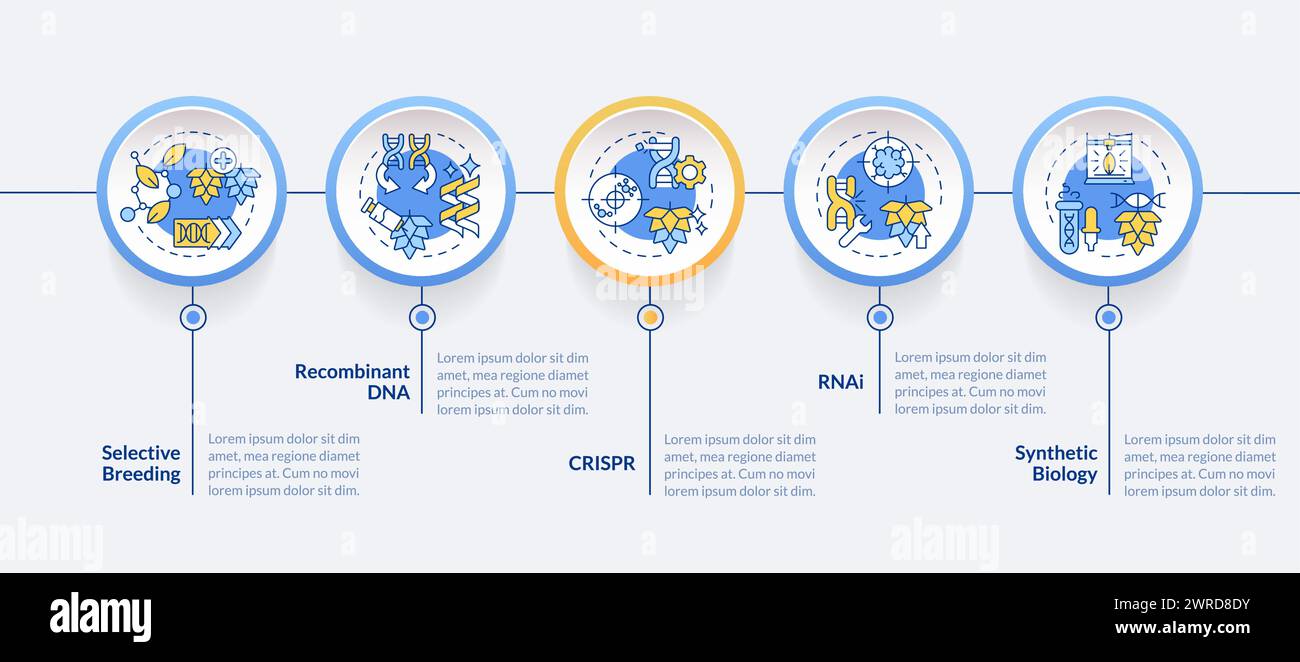 Genetic modified cultivation circle infographic template Stock Vector ...