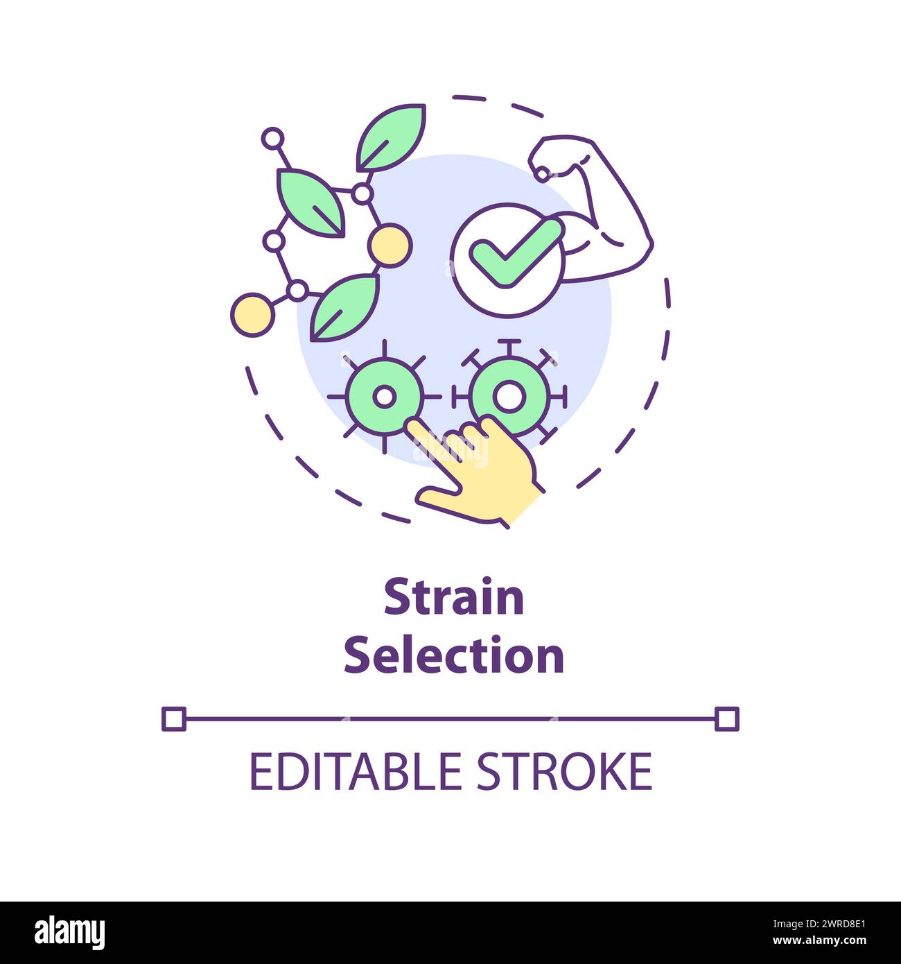 Strain selection multi color concept icon Stock Vector Image & Art - Alamy