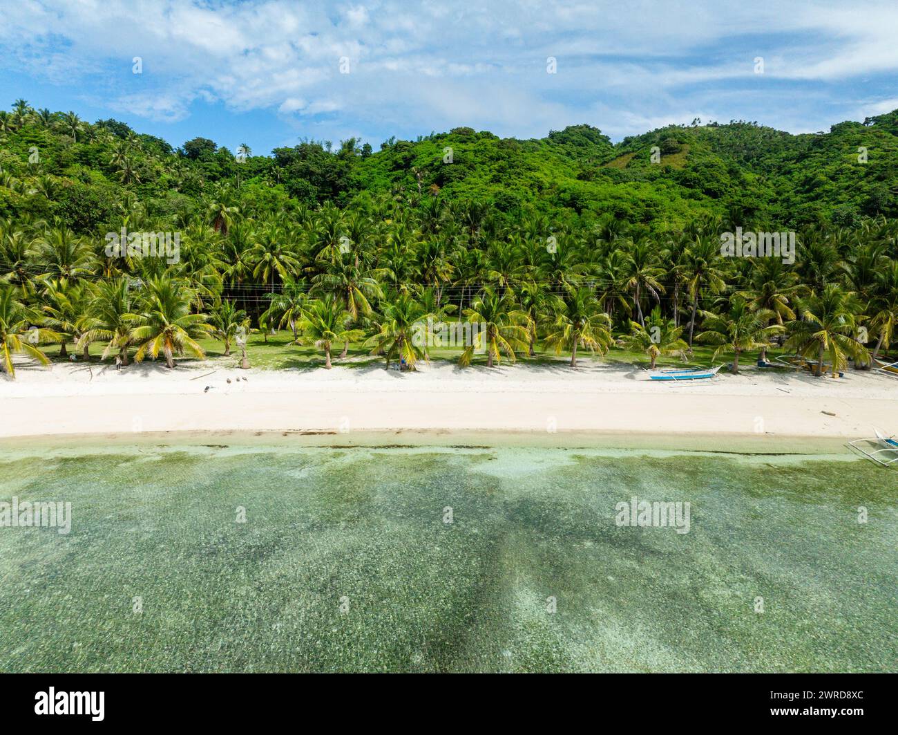 Coconut trees in beach with white sand and boats on clear water ...