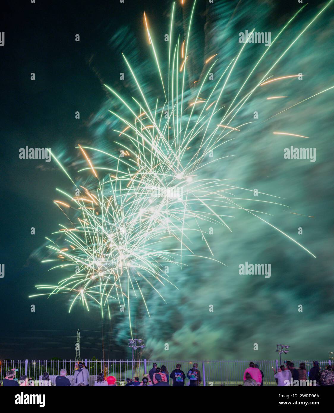 Auckland, New Zealand - Feb 25 2024: Green and golden fireworks at ...