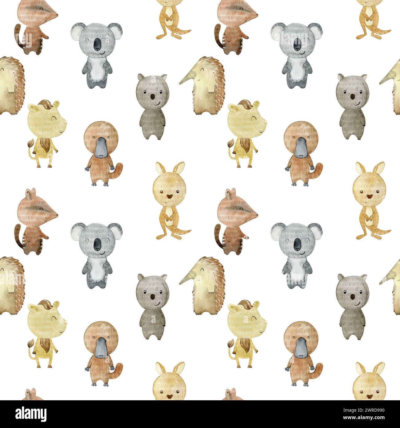 Watercolor australian animals Stock Photo - Alamy