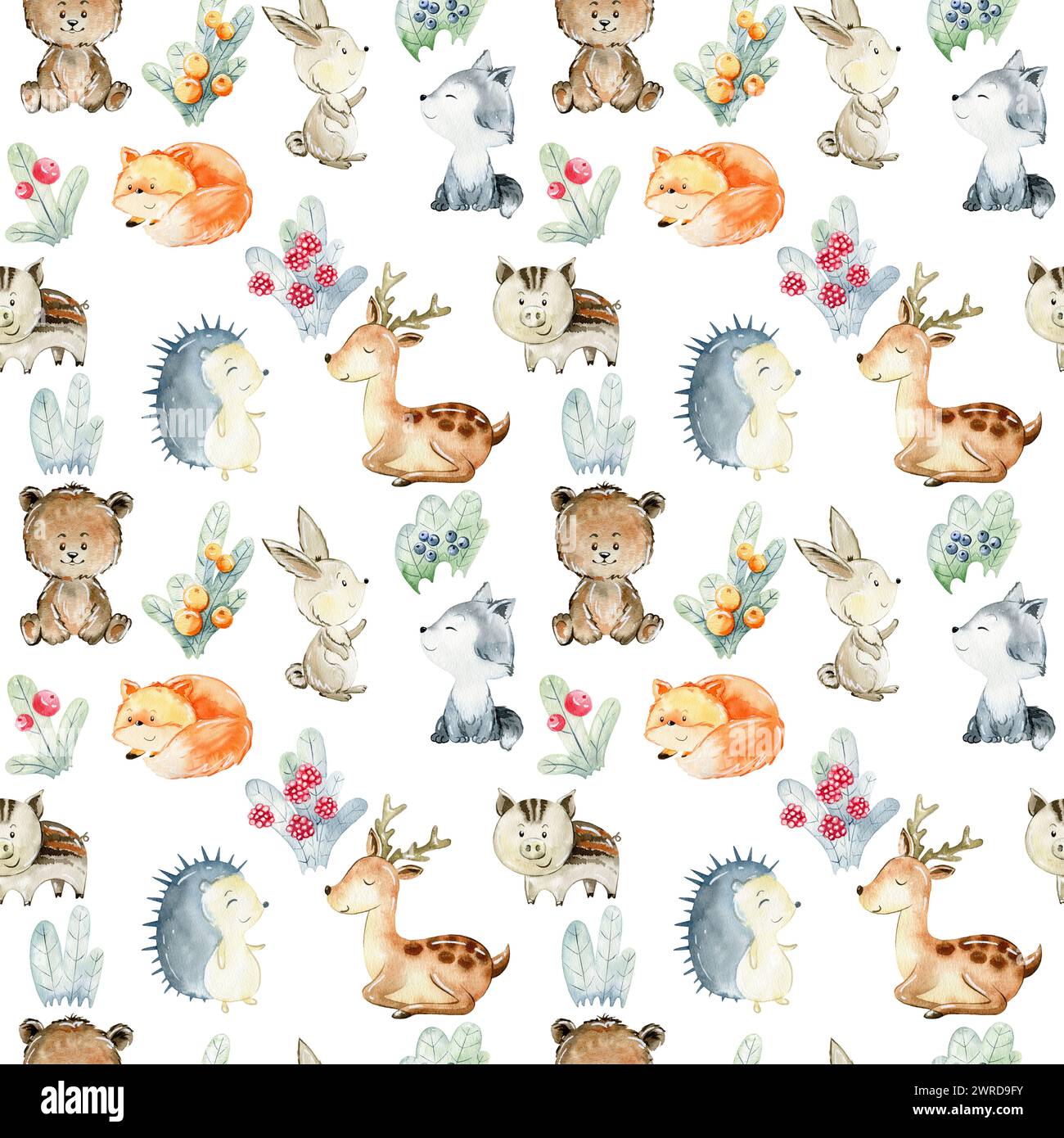 Woodland watercolor hi-res stock photography and images - Alamy