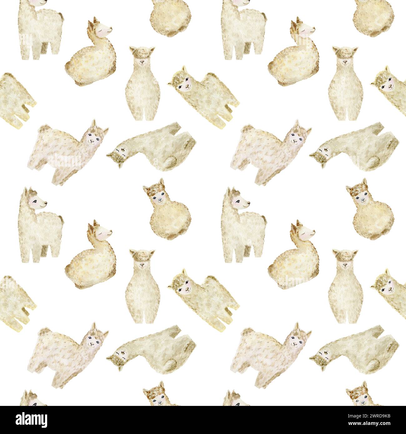 Seamless pattern with alpaca Cut Out Stock Images & Pictures - Alamy