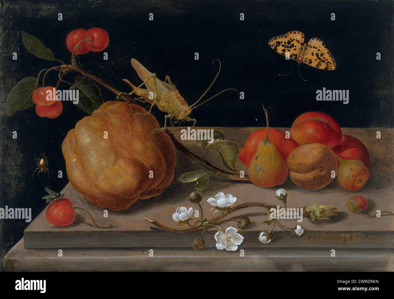Still life with fruits, a grasshopper and a butterfly by Maria Sibylla ...