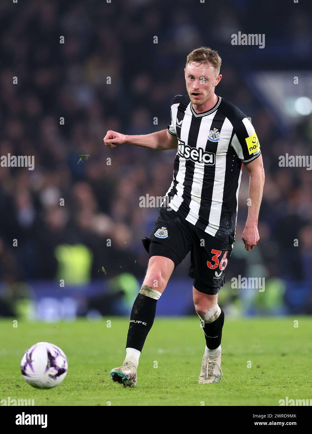 Sean longstaff 2024 hi-res stock photography and images - Alamy