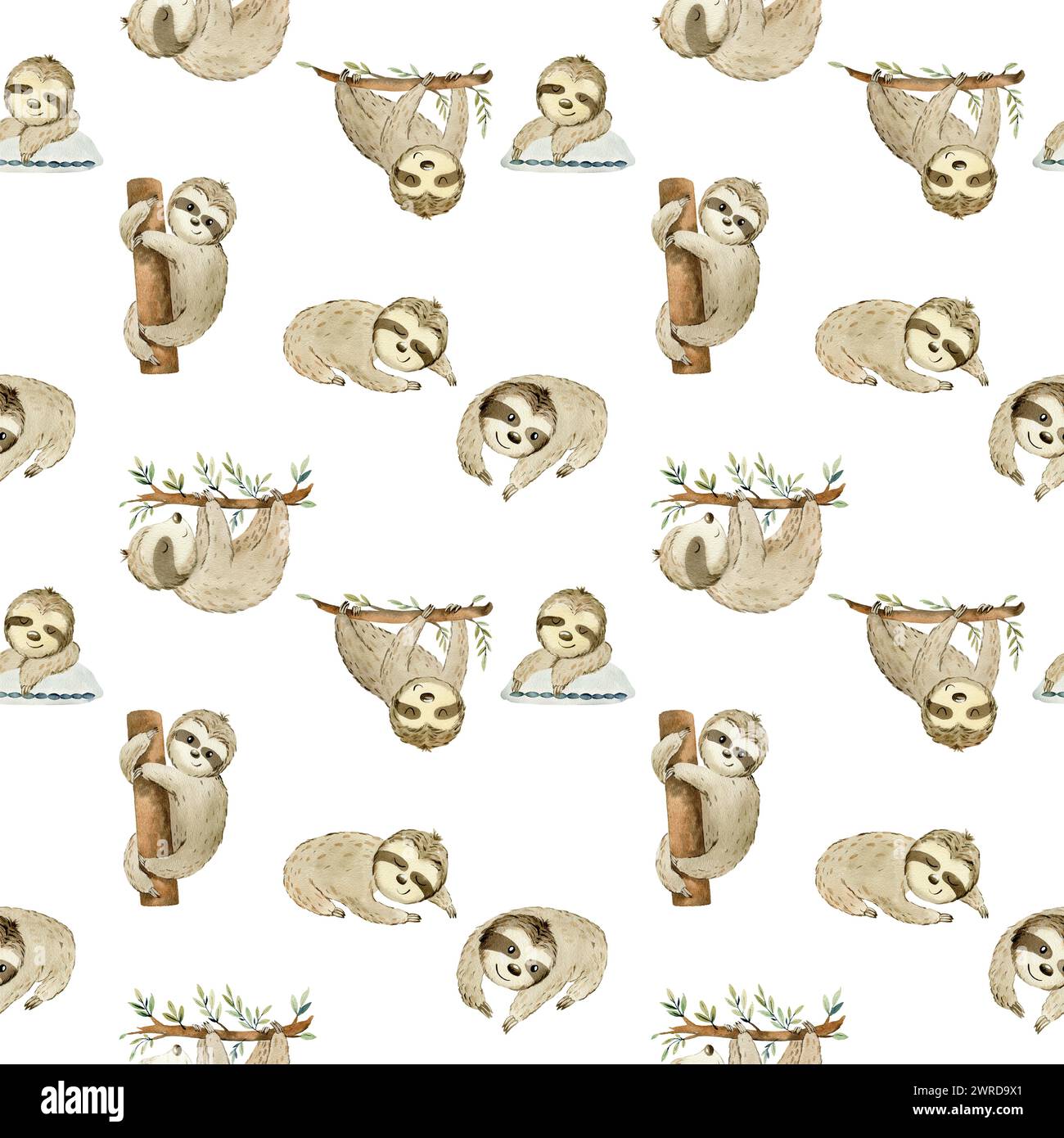 Sloths africa hi-res stock photography and images - Alamy