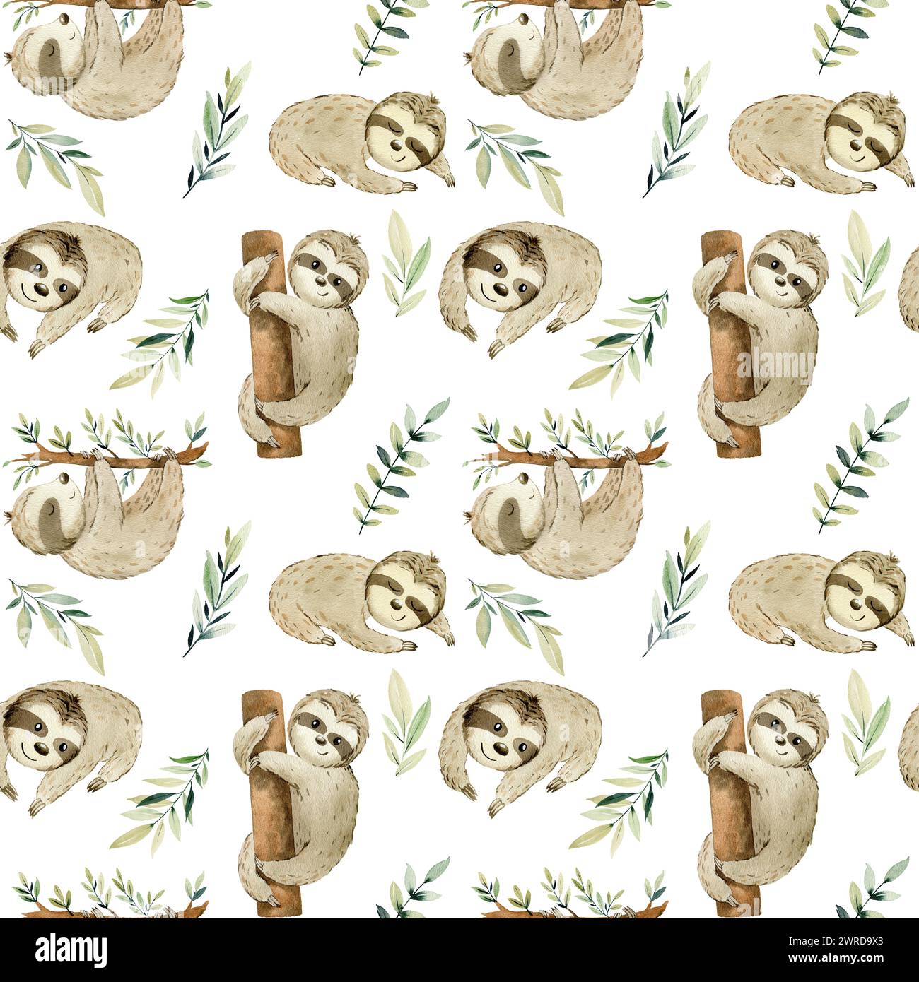 Sloths africa hi-res stock photography and images - Alamy
