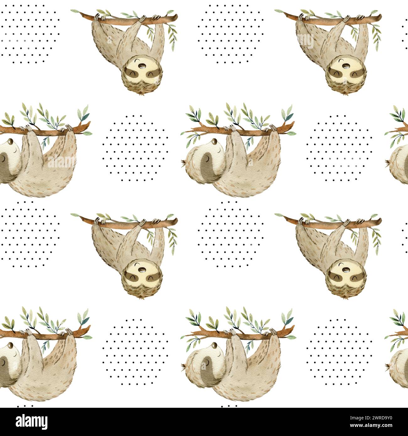 Zoo sloths Cut Out Stock Images & Pictures - Alamy