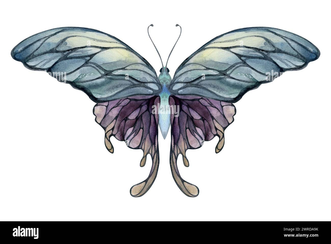 Hand drawn watercolor illustration butterfly fairy wings gem crystal ...