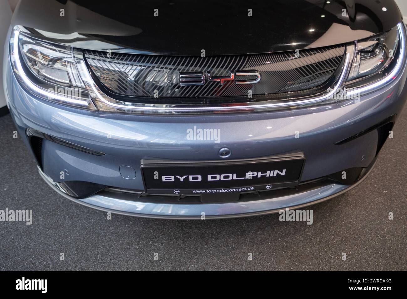 Byd dolphin hi-res stock photography and images - Alamy