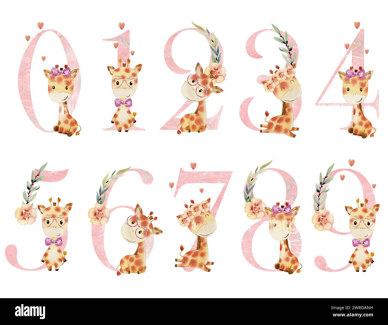 Watercolor animals numbers Stock Photo - Alamy