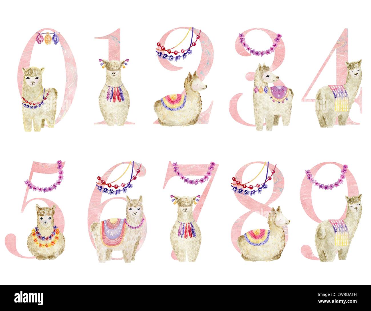 Watercolor animals numbers Stock Photo - Alamy