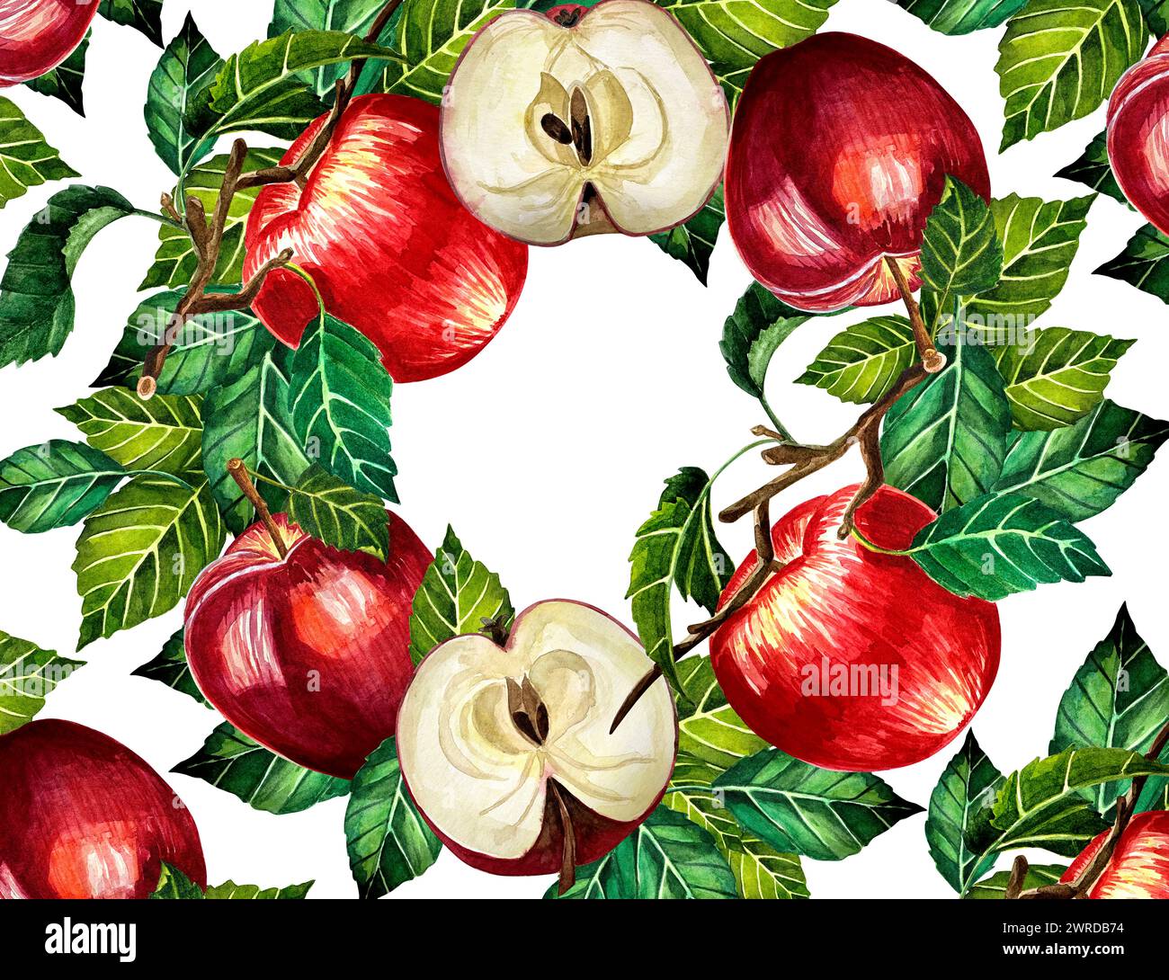 Apple frame botanical illustration. Card design with apple flowers and ...