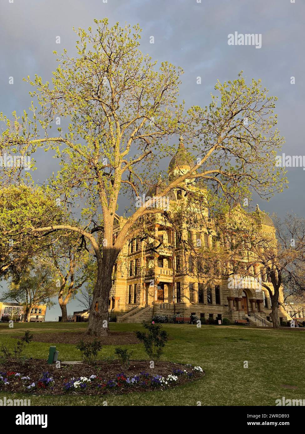 The historic Denton County Courthouse-on-the-Square Museum in Texas ...
